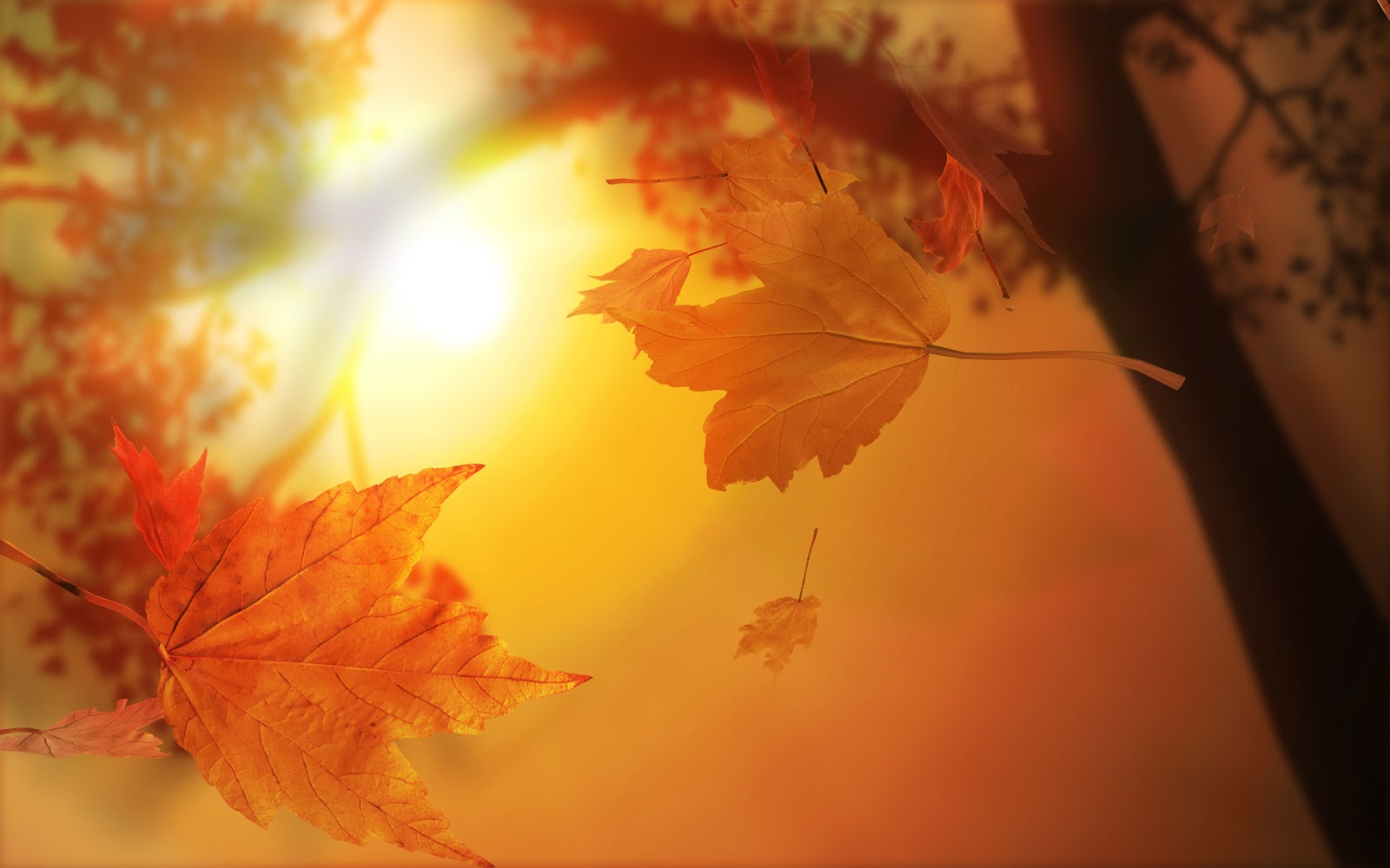 Autumn Graphics Picture: Autumn Gifs Images