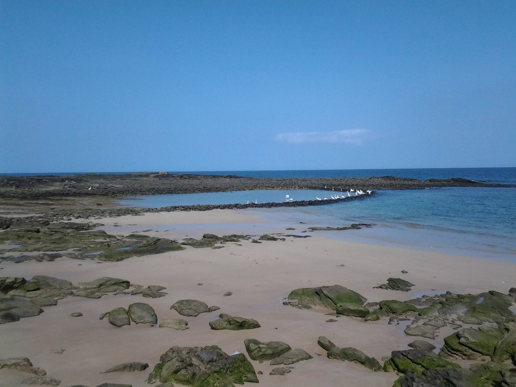 Isla Saboga : Archipiélago de Las Perlas, Panamá. An island in paradise ...