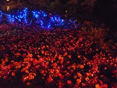 Sentosa Flowers - Exotic Travel Destination