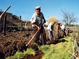 De tudo um pouco: AGRICULTURA TRADICIONAL