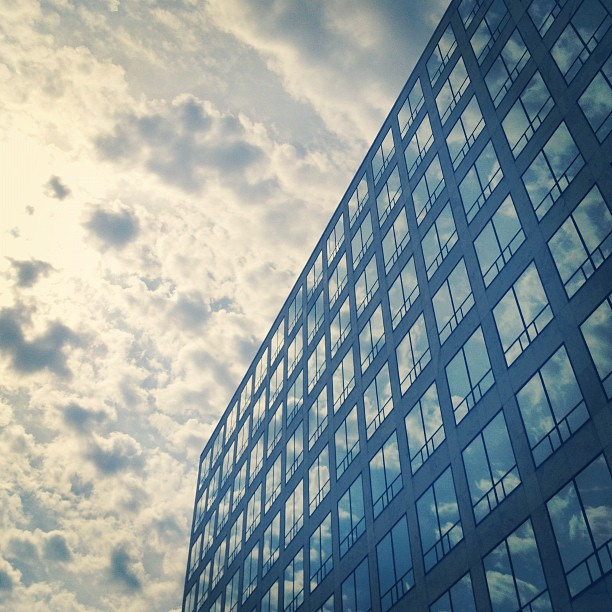 10 Amazing Examples Of Mobile Phone Photography