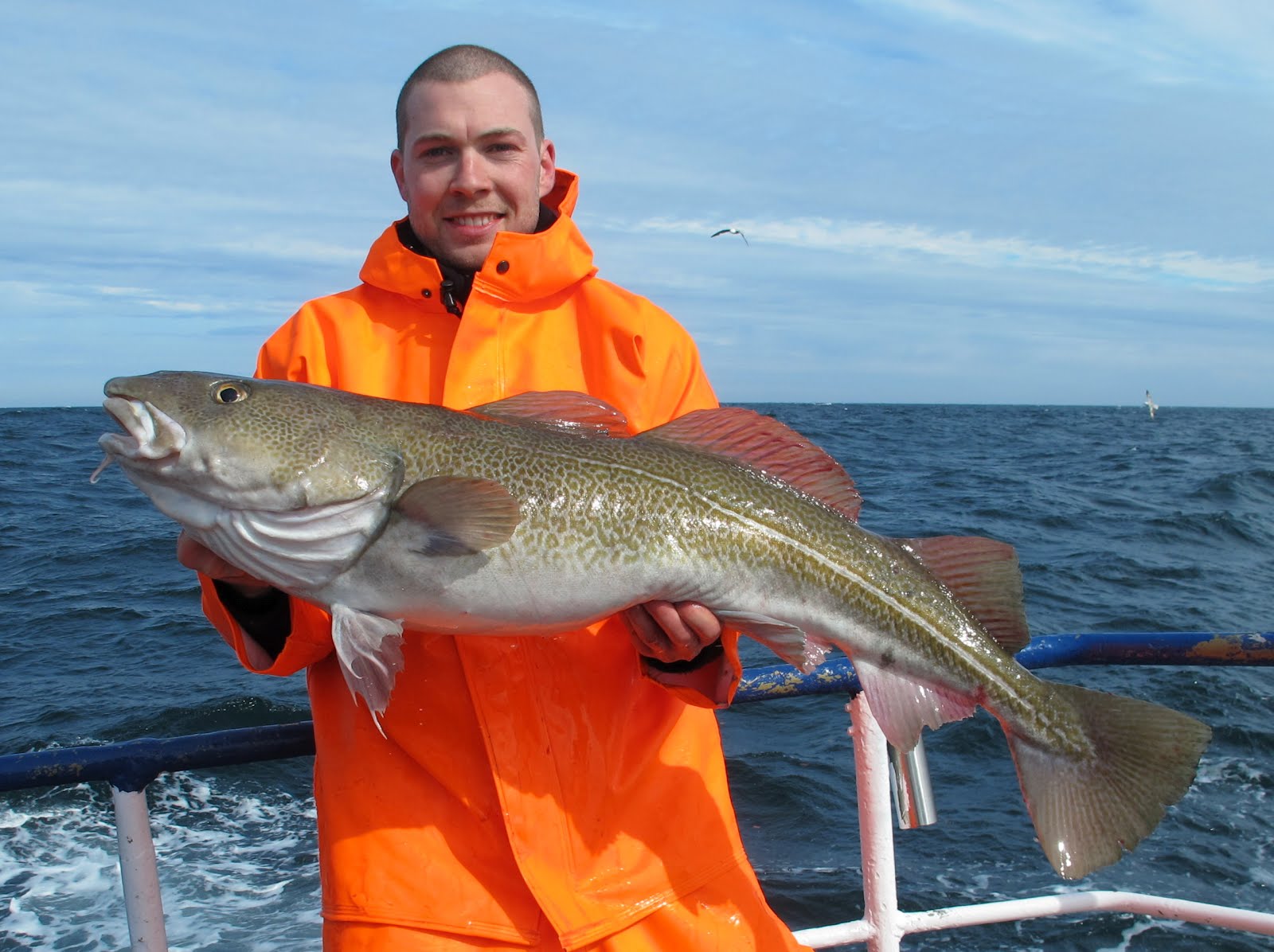 Team Njord: Det Gule Rev, St. Bededag