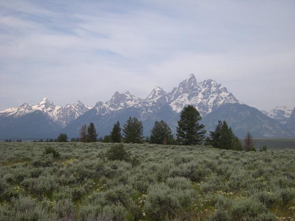 Europa, una Vision Diferente: estepa