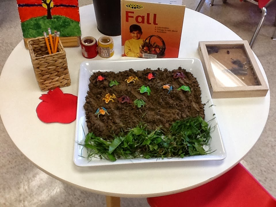 On Display: Fall Provocations created by Kim Briand | Transforming our ...