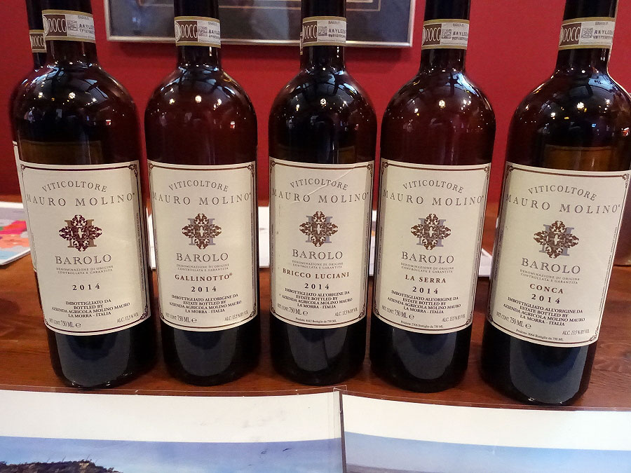 Mauro Molino Barolo (Piedmont) Wine Tasting