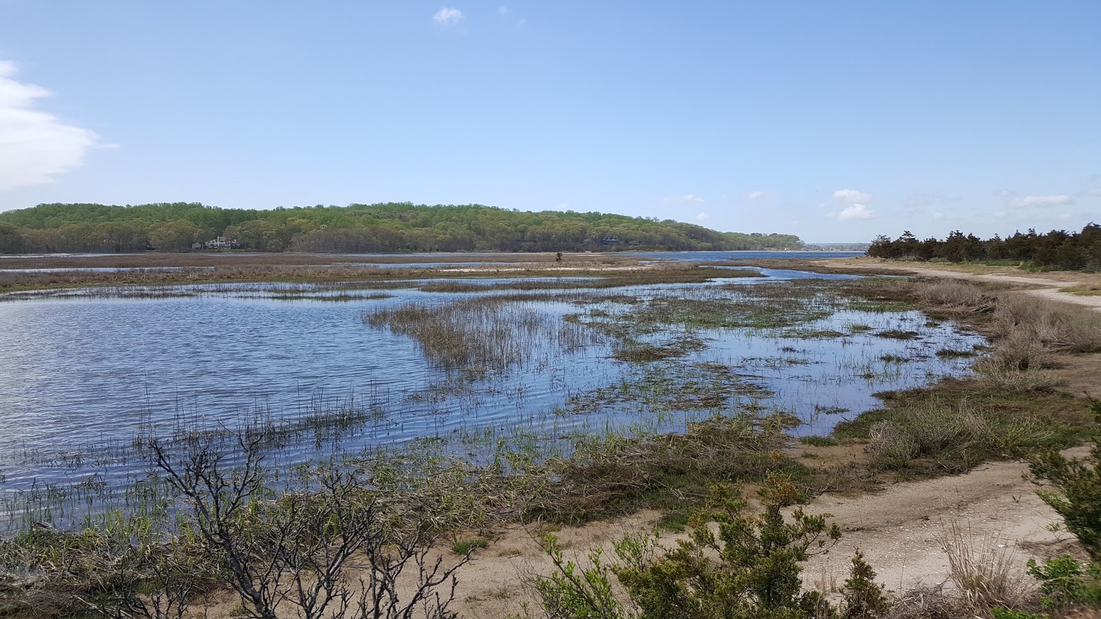LIBAG, Long Island Beach Access Group: May 2017