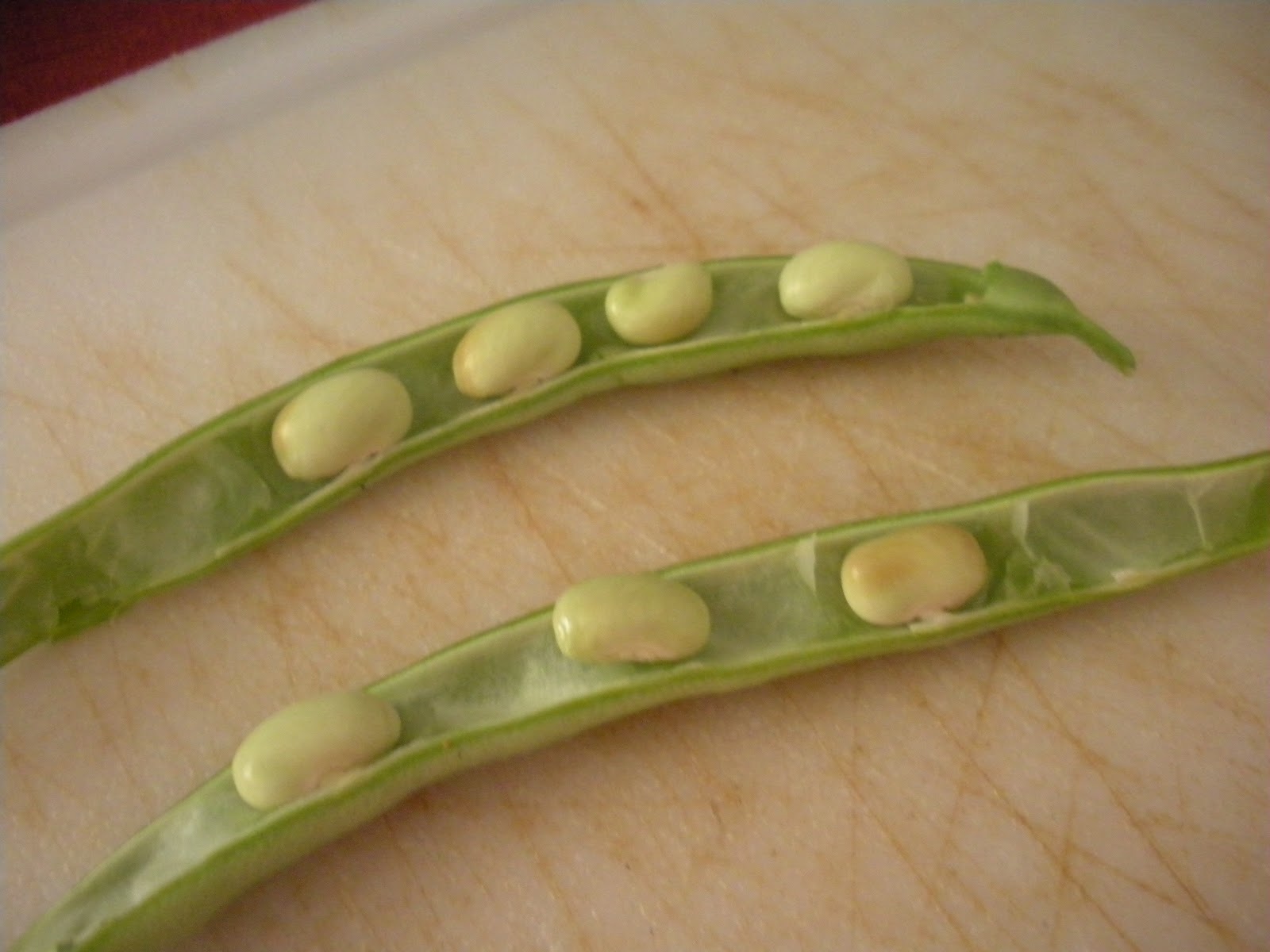 For The Love Of Cooking