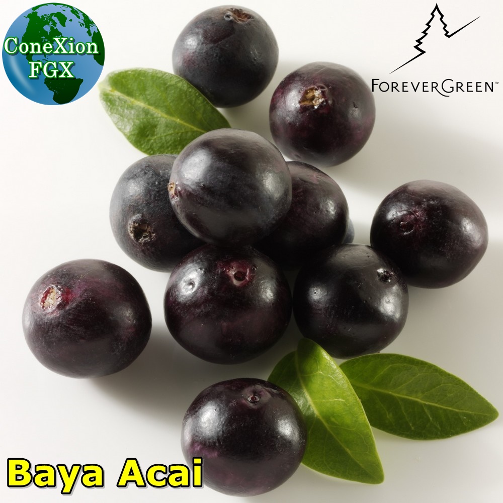 5 Factor Forever Green – Bienvenido al Negocio Perfecto: BAYA DE MAQUI ...