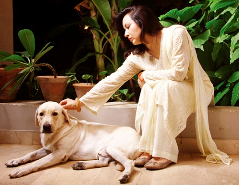 free stars wallpaper: Zeba Bakhtiar HD Wallpaper