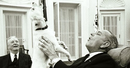 Pol Light: Lyndon Johnson Sings with Dog Yuki