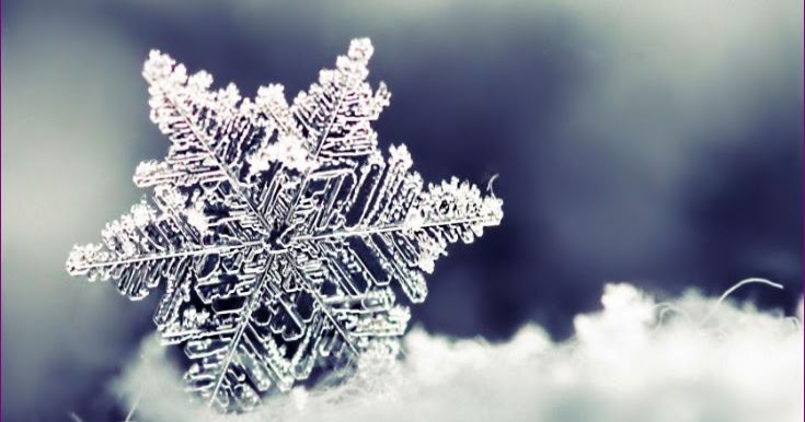 A Lot Like Purple: Are you a special snowflake, or just one that is ...