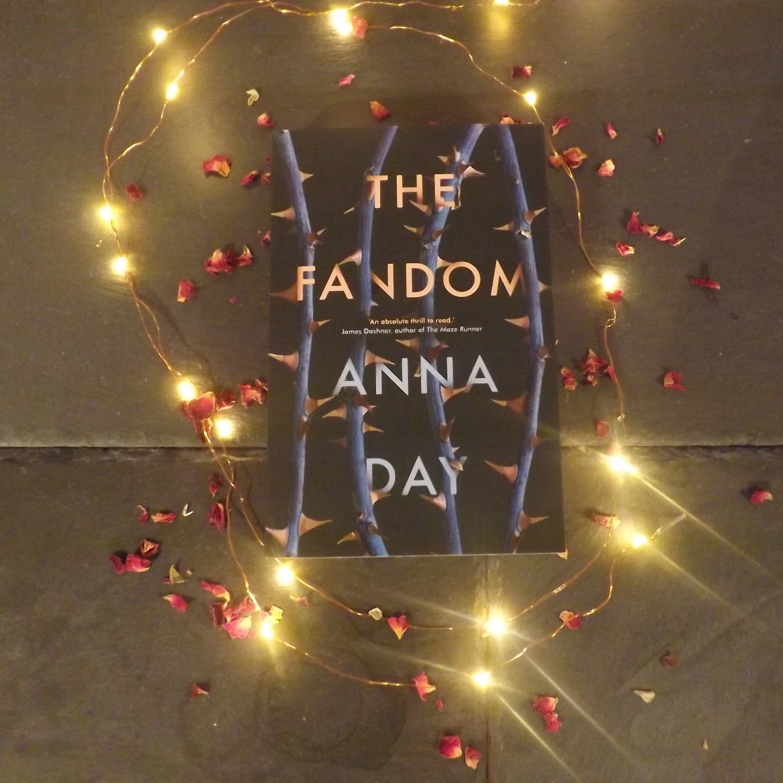 Review - The Fandom by Anna Day