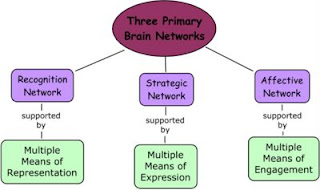 Final Project EDU 990E: Neural Networks