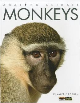 Library Village: Toddler Story Time - Monkeys!