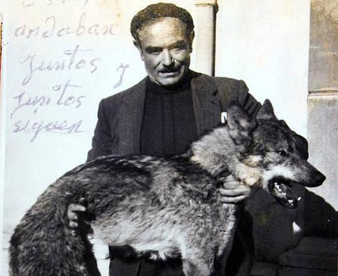 AULLA LOBO HUYE: septiembre 2015