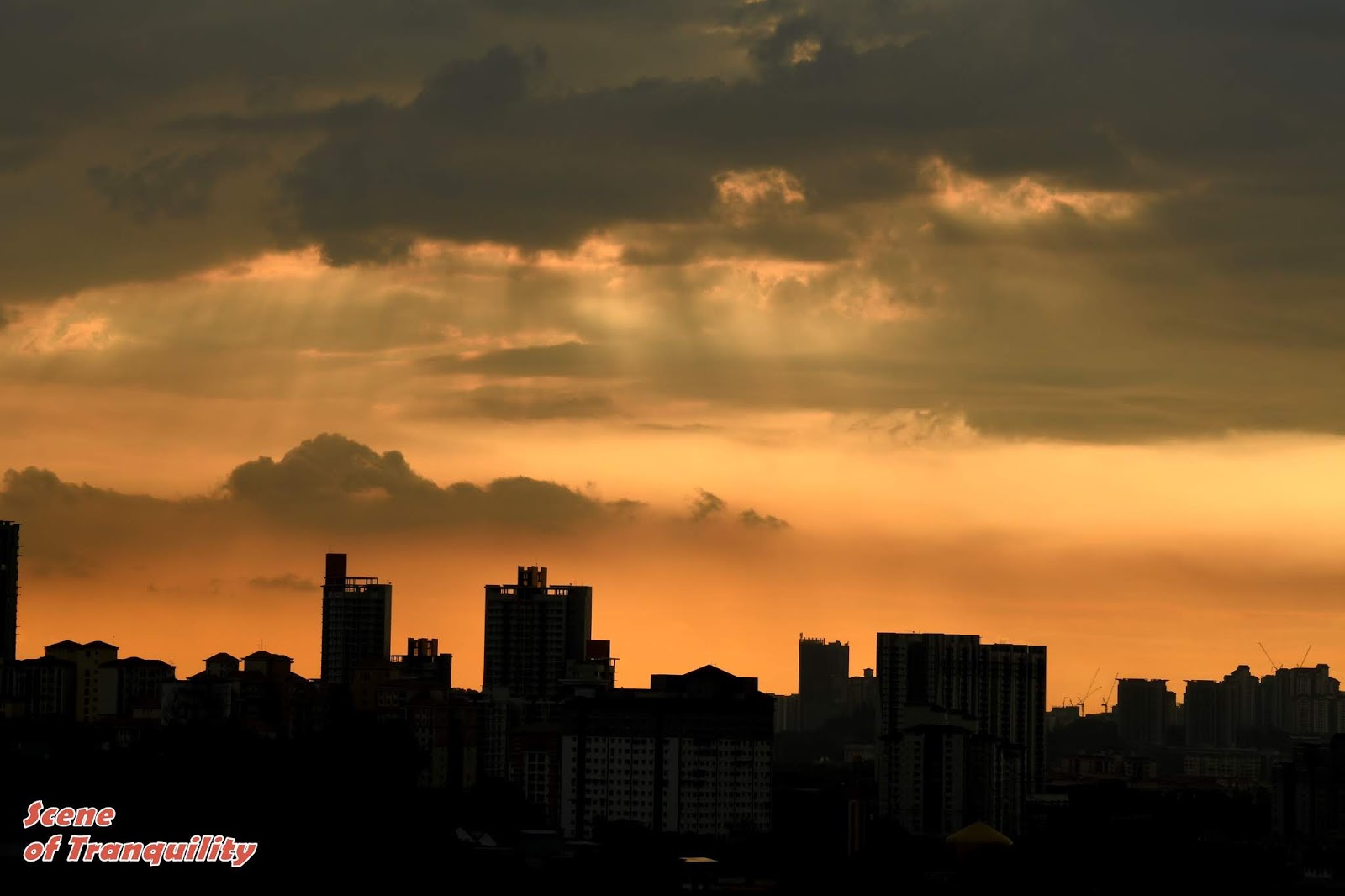 Scene of Tranquility: Glowing in the gloom