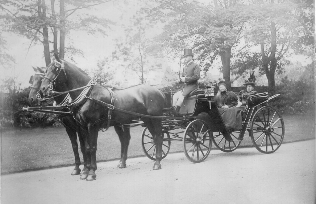 Horse and Buggy: One of the Common Transports Before 1900 ~ Vintage ...