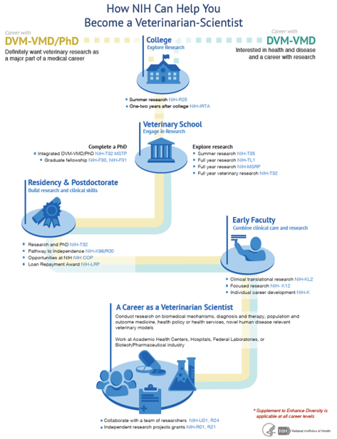 Vetmed: NIH Research Training and Career Development Programs