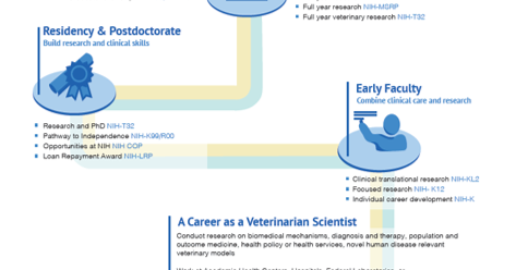 Vetmed: NIH Research Training and Career Development Programs