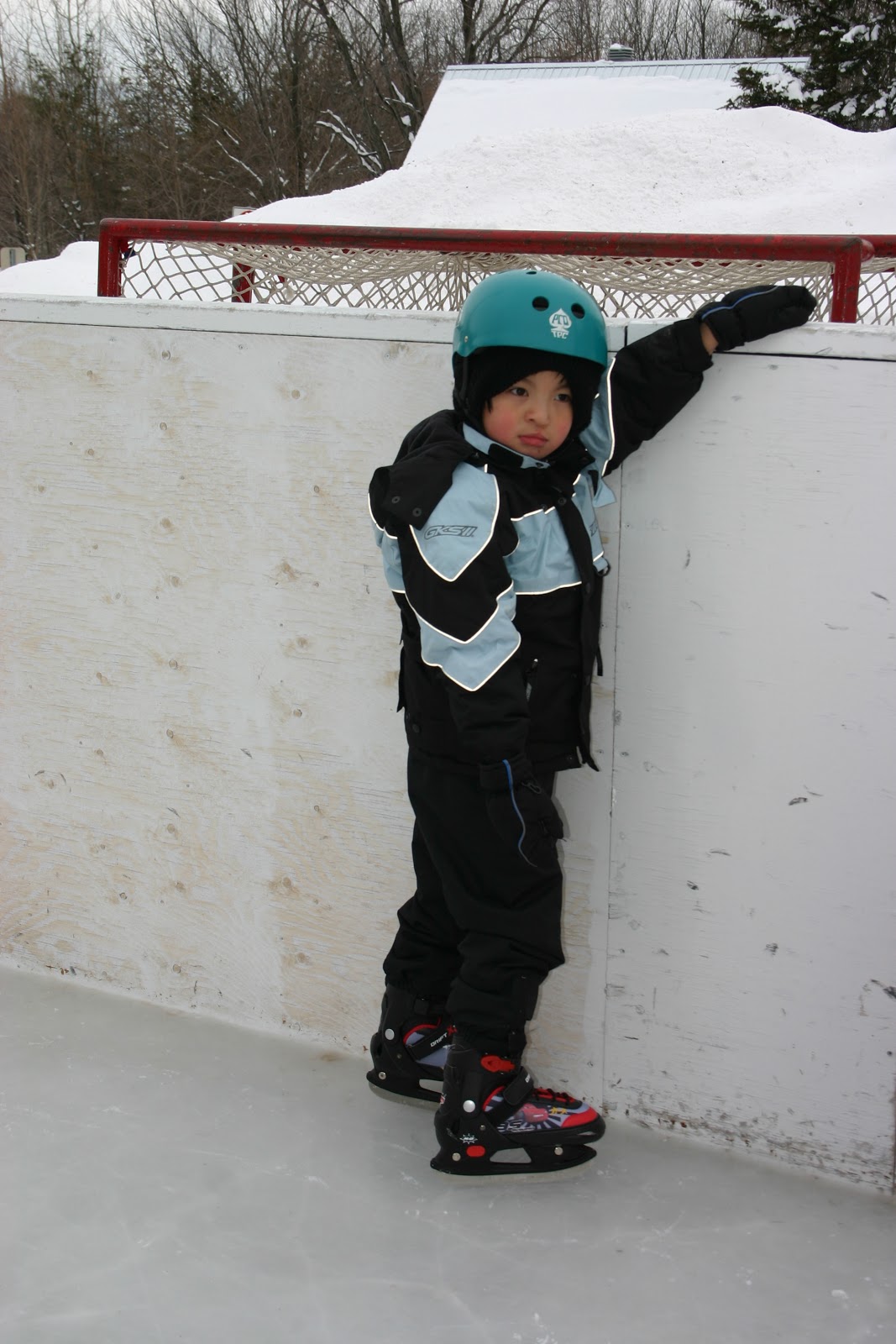 Un si long voyage...: La patin