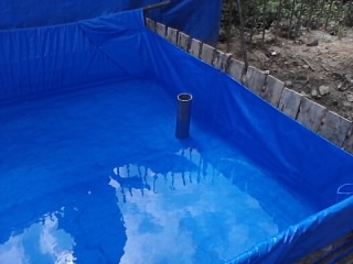 Kolam terpalku: Cara membuat kolam terpal