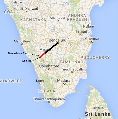 The Travels of a Curious Old Man: Kabini and the Nagarhole National ...