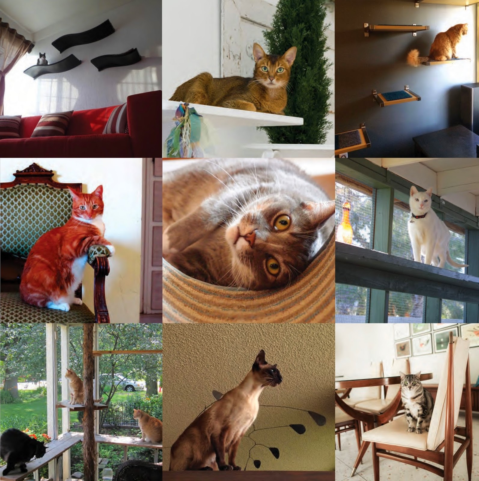 Sandpiper Cat: (P)review: Catification - Designing a Happy and Stylish ...