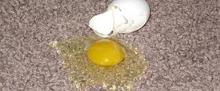 How to remove an egg stain from a rug ~ Carpet Cleaning Tips with Dave