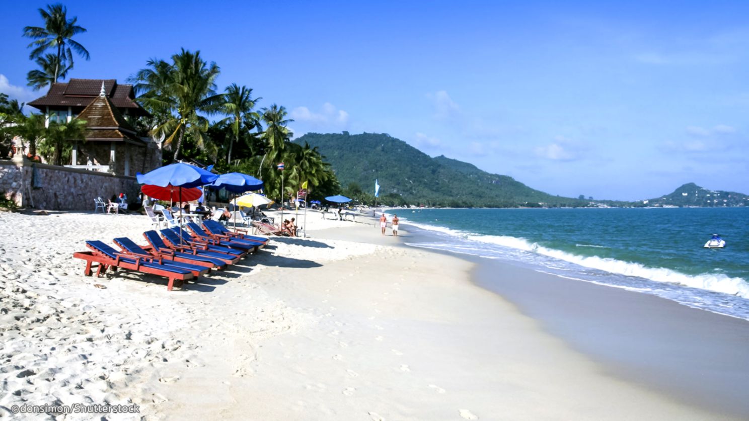 Elephant In Beach Hd Wallpaper Desktop | Joss Wallpapers