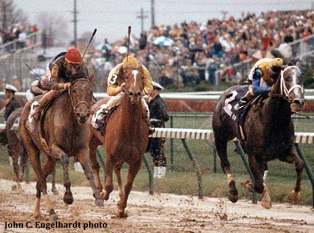 Keep Turning Left!: Personal Ensign "Just Perfect"