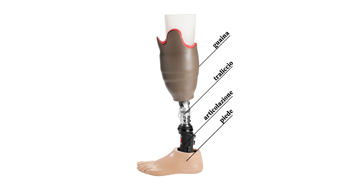 Gambe Artificiali: Componenti delle gambe artificiali