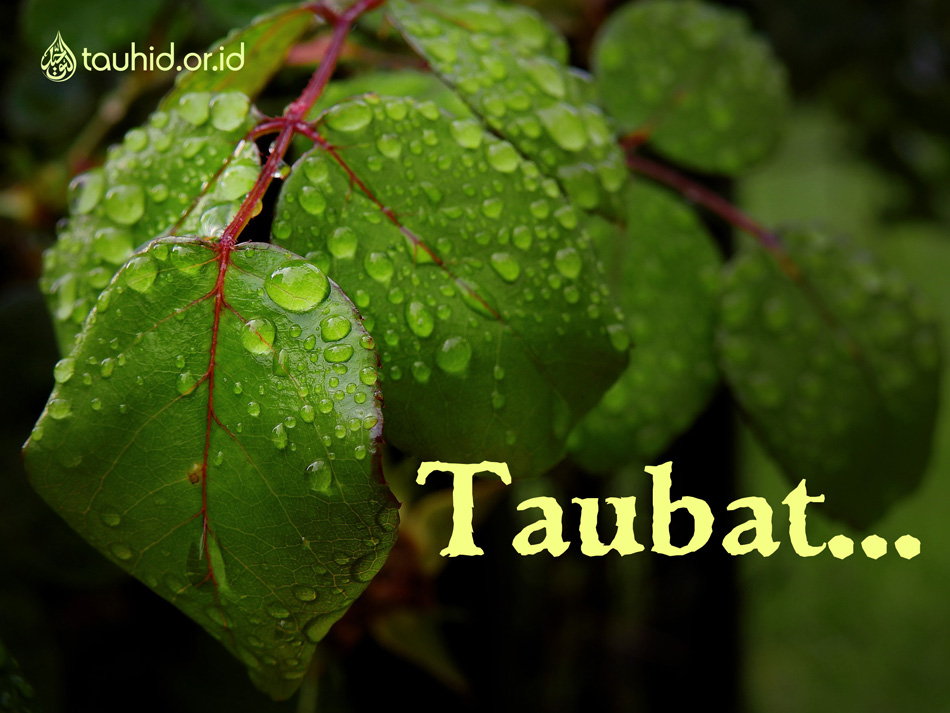 TENTANG MAKNA TAUBAT DAN SYARAT SYARATNYA | Buletin | Tauhid.or.id