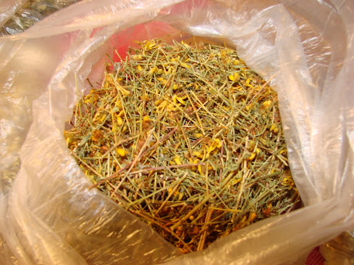 Kantarion ( Hypericum perforatum ) | Prirodni lijekovi za sve bolesti ...