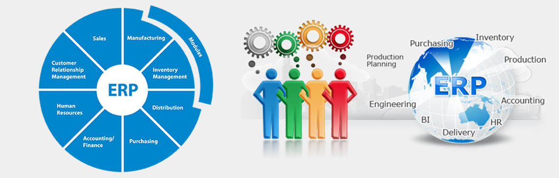 Microsoft Dynamics: Microsoft Dynamics Enterprise Resource Planning- A ...