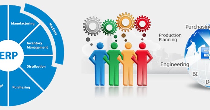 Microsoft Dynamics: Microsoft Dynamics Enterprise Resource Planning- A ...