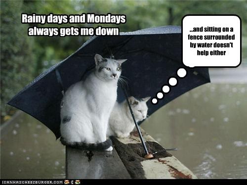 Karens Classic Rock 1001 Blog Rainy Days And Mondays Always Get Me Down