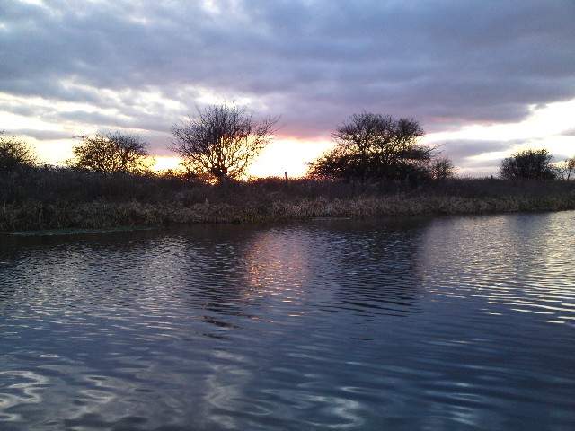 Naughty-Cal: Fiskerton Fen