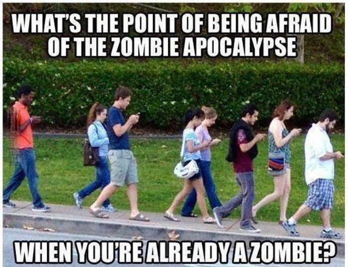 What's the point of being afraid of the zombie apocalypse when you're ...