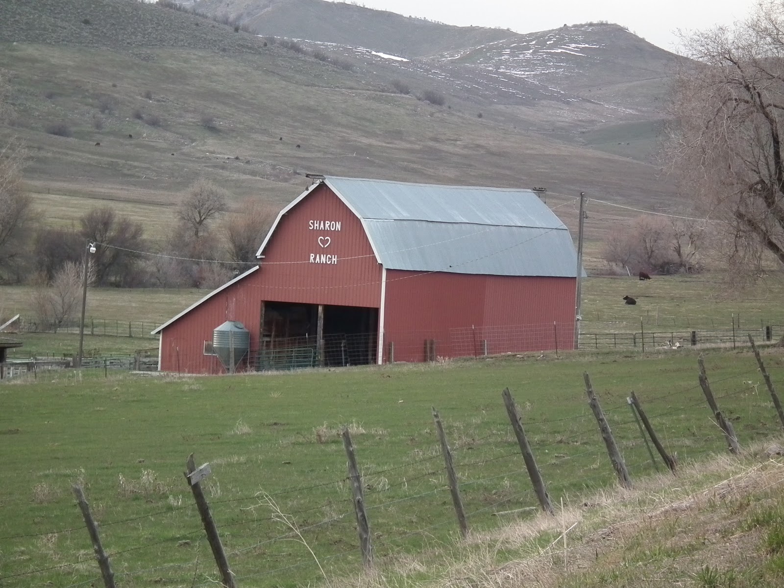 CAPture Nature: Old Barns around Cache Valley, Utah