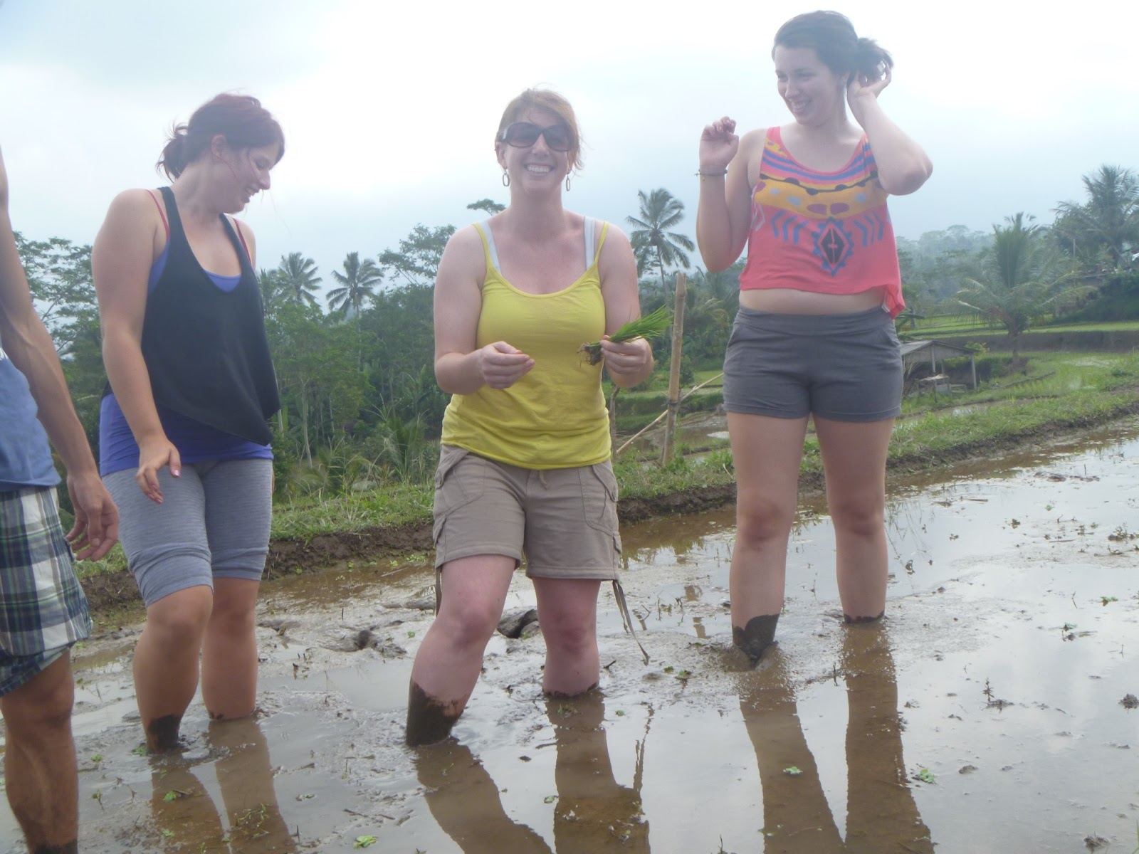 My Adventure continues...In Swedenland! :): Knee Deep in the Mud ...