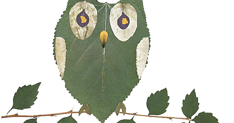 Amiscol: Les animaux en feuilles