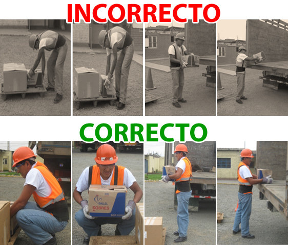 Manejo Manual de Carga : Manipulación Manual de Carga