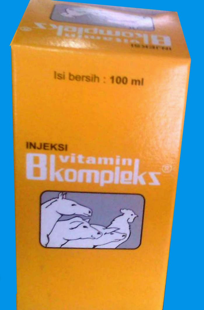 VITAMIN B COMPLEK INJEKSI - OBAT UNTUK SAPI KAMBING DAN BABI