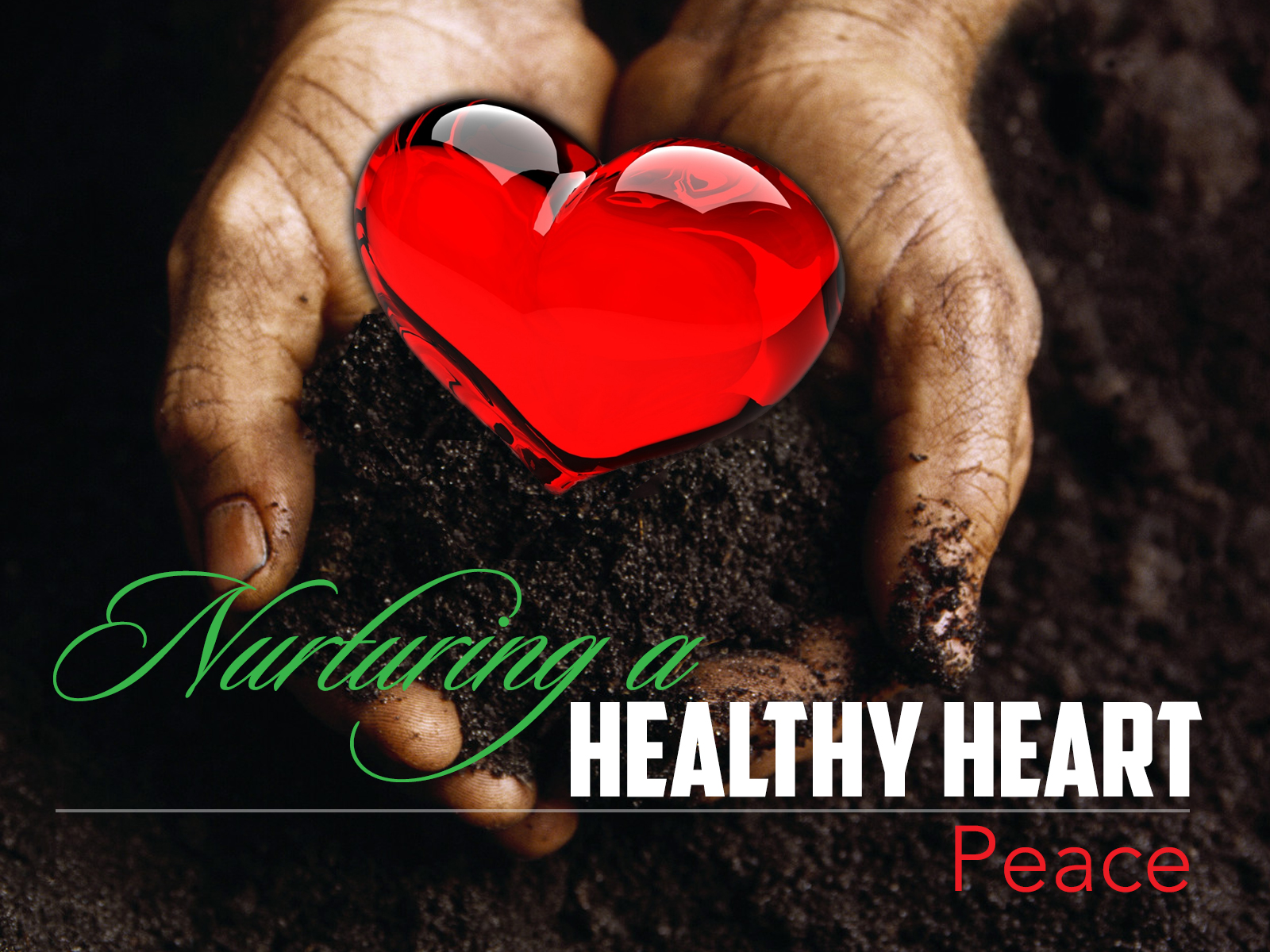 Welcome to DavidCharlton.blogspot.com: June 30, 2013 Nurturing A ...