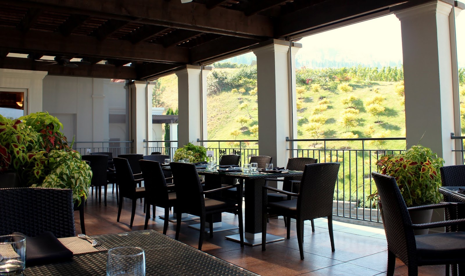 The Murray Chronicles : Vineyard Terrace Restaurant at Cedar Creek Winery