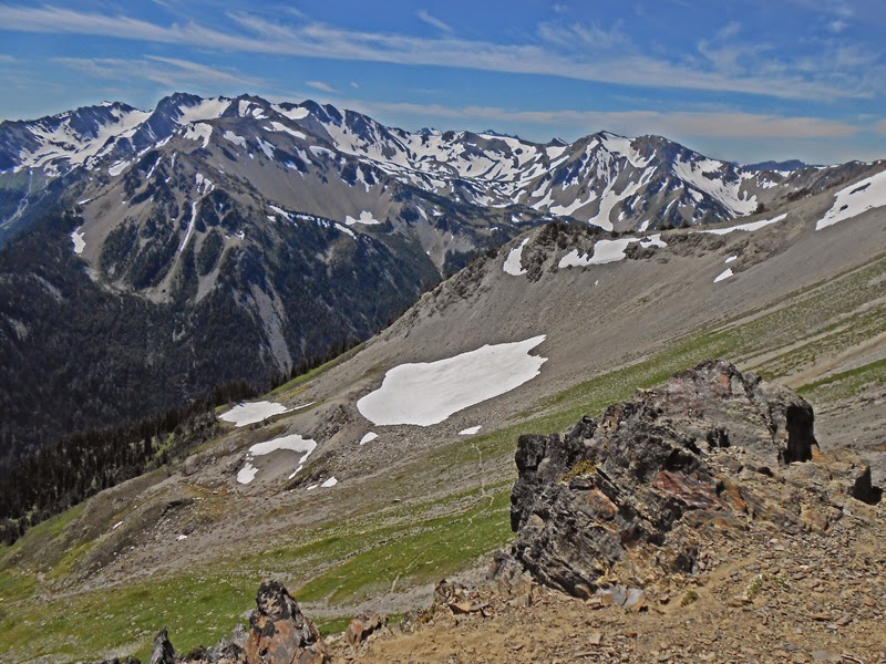 Val-Di-Ree: Obstruction Point to Dosewallips River, July 23-26, 2013