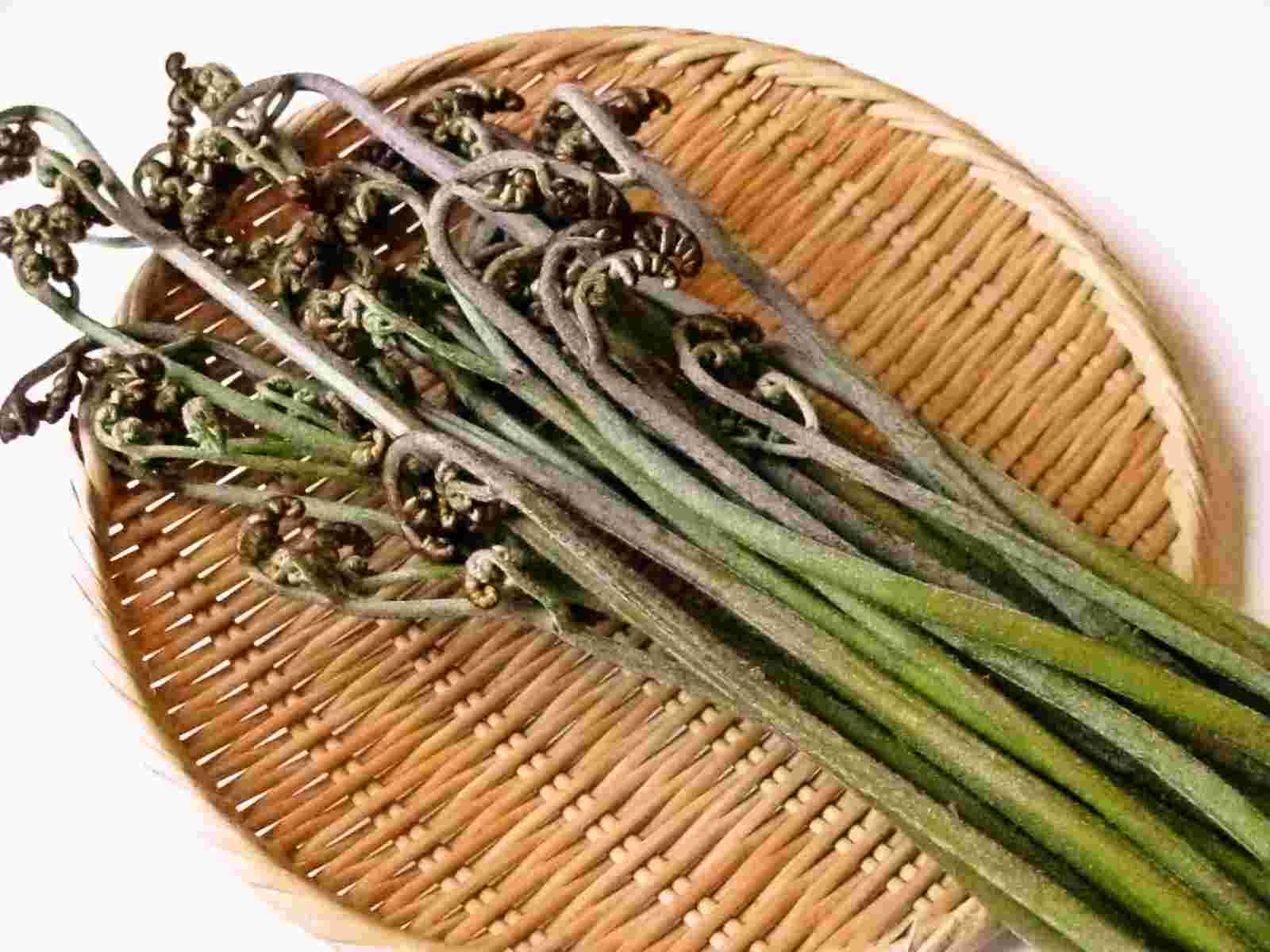 Recipes for Tom: Warabi bracken