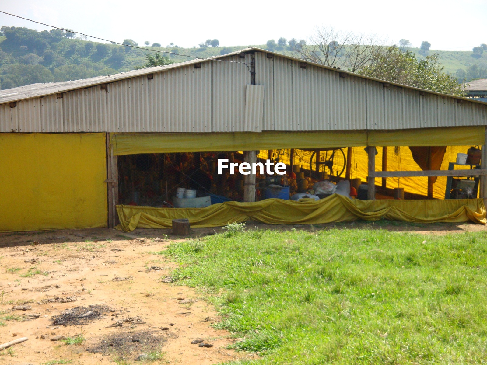 Granja de frango de corte!