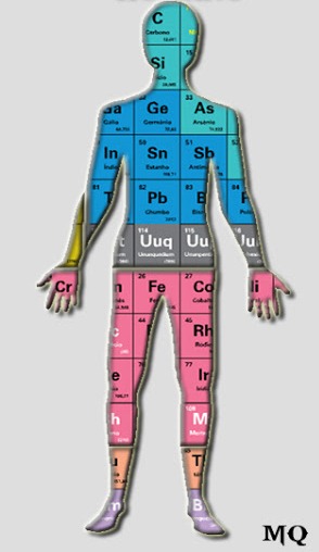 A Química do corpo humano