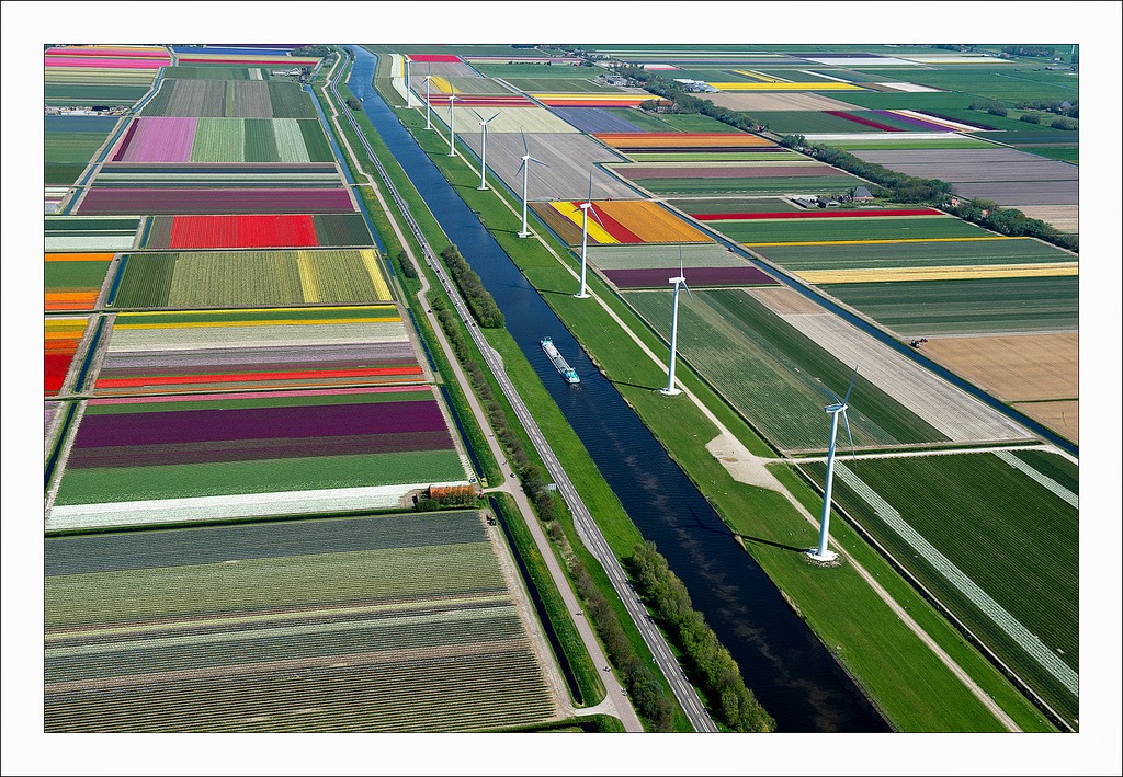 Inilah Pemandangan Ladang Bunga Terindah di Dunia | ardiyansyah.com